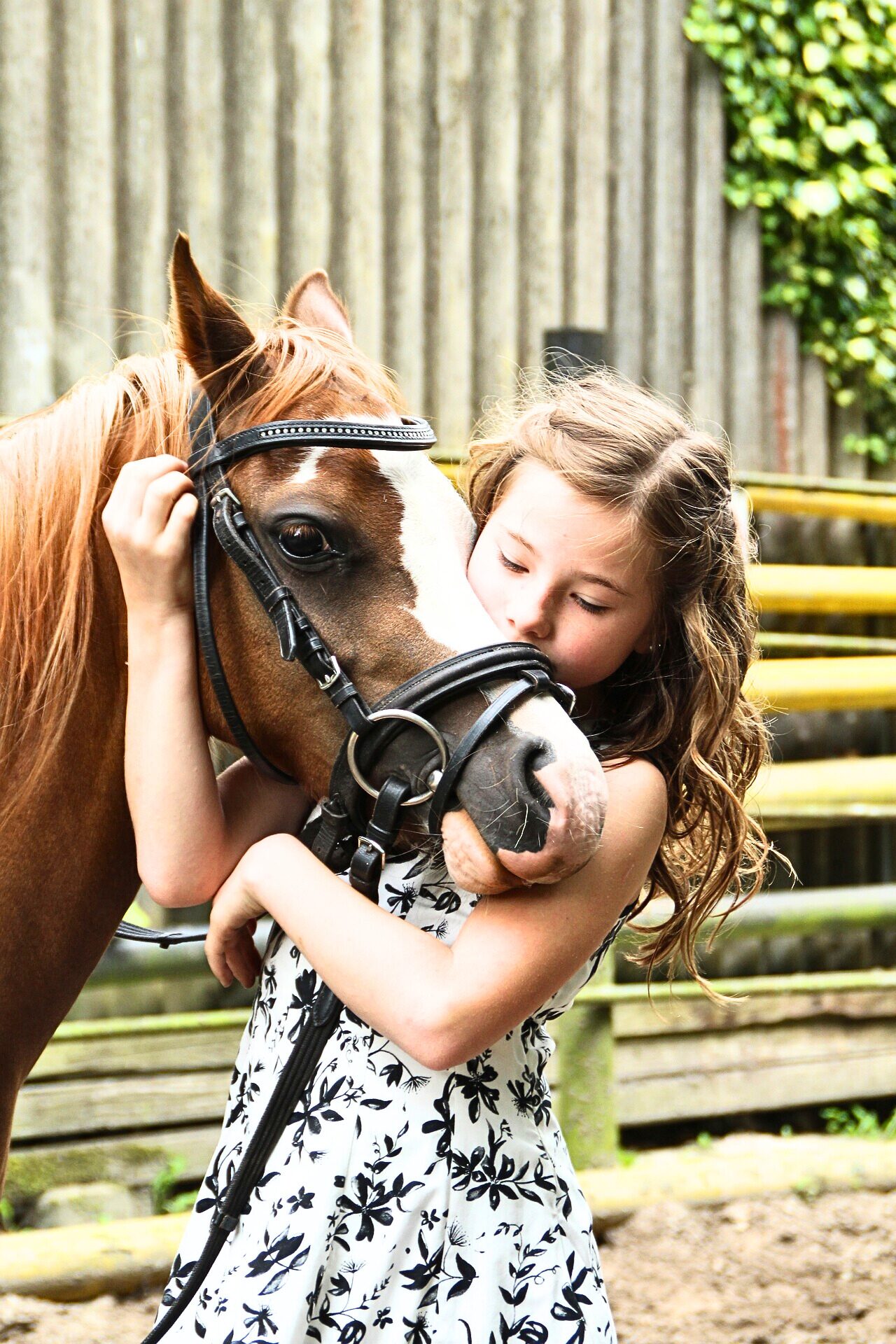 L’Équithérapie, Un Chemin vers le Bien-être | Kianatural
